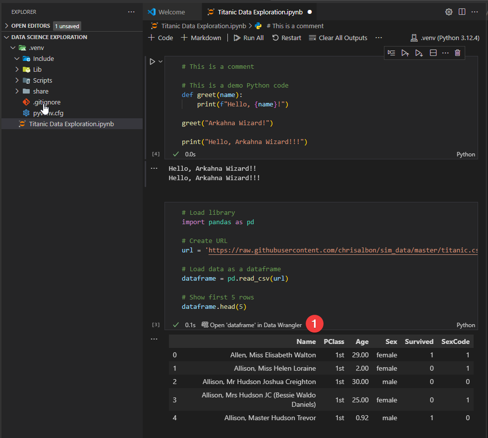 Data Science via VS Code. Part 3: DataFrame with some basic exploratory ...