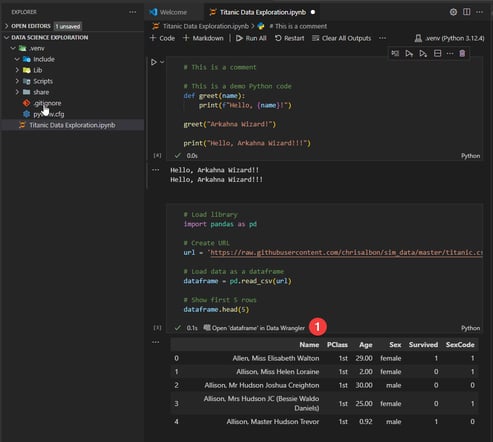 Data Science via VS Code. Part 3: DataFrame with some basic exploratory ...